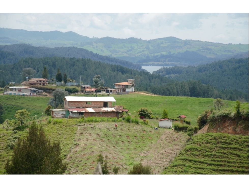 Inmueble en Venta, Finca en Santa Rosa De Osos, Santa Rosa De Osos