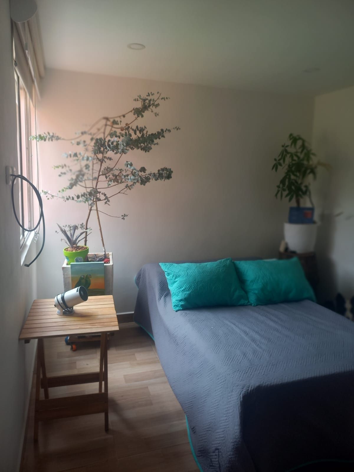 Inmueble en Venta, Apartamento en maria auxiliadora, La Ceja